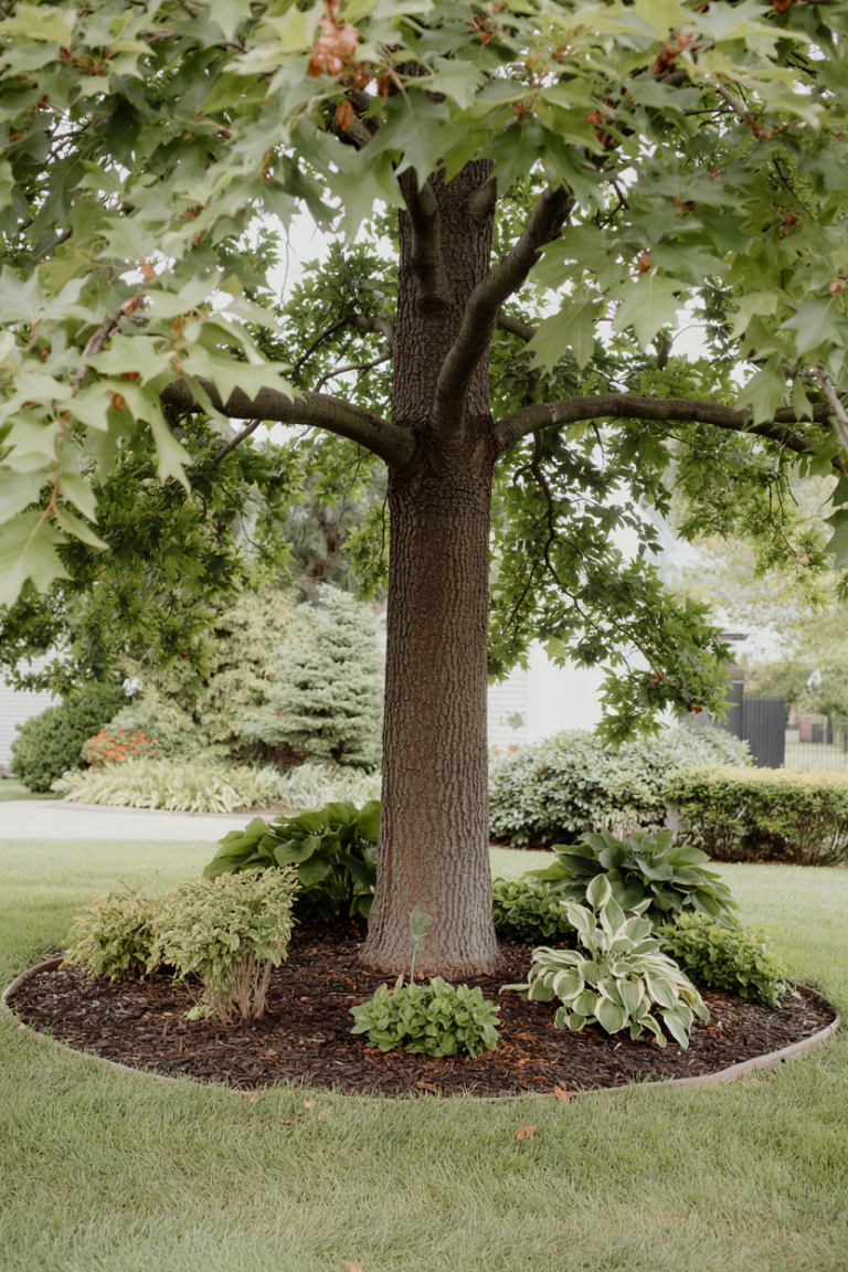 42 Best Landscaping Ideas for Your Front Yard in 2025 to Boost Curb ...